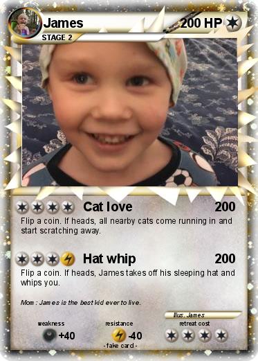 Pokémon James 2233 2233 - Cat love - My Pokemon Card