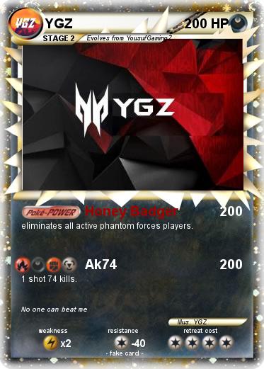 Pokémon YGZ 2 2 - Honey Badger - My Pokemon Card