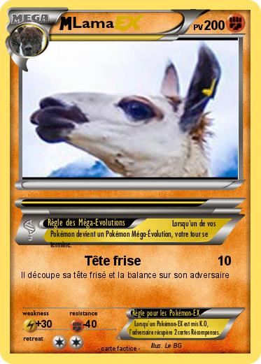 Pokémon Lama 171 171 - Tête frise - Ma carte Pokémon
