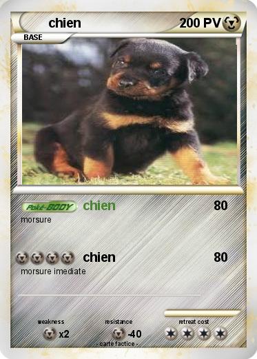 Pokémon chien 383 383 - chien - Ma carte Pokémon