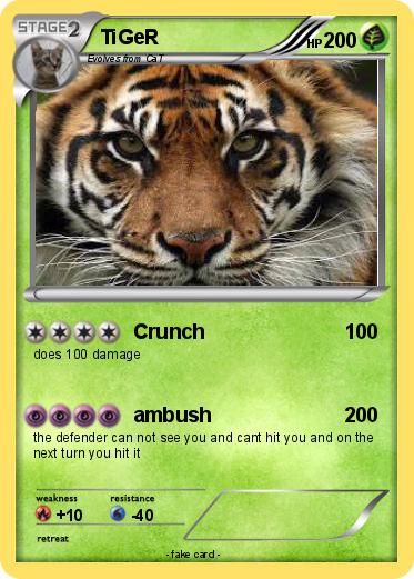 Pokémon TiGeR 900 900 - Crunch - My Pokemon Card