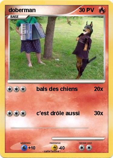 Pokémon doberman 6 6 - bals des chiens - Ma carte Pokémon