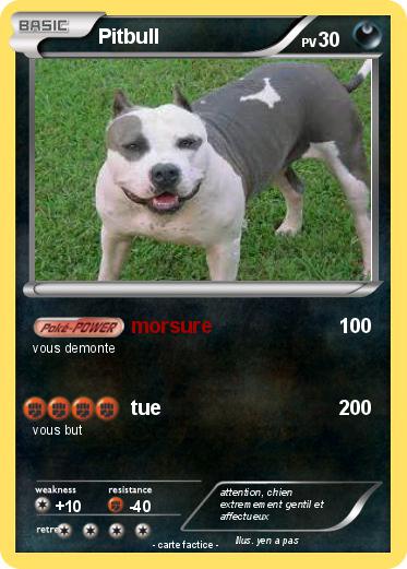 Pokémon Pitbull 135 135 - morsure - Ma carte Pokémon