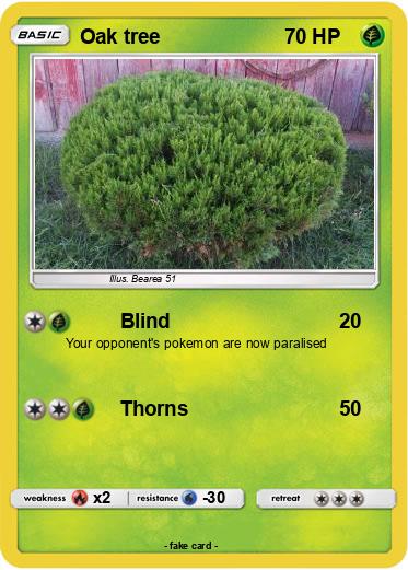 Pokémon Oak tree 9 9 - Blind - My Pokemon Card