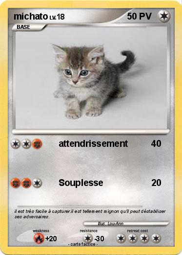 Pokémon michato - attendrissement - Ma carte Pokémon