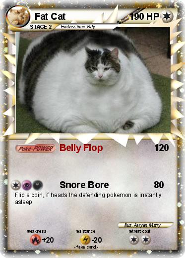 Pokémon Fat Cat 256 256 - Belly Flop - My Pokemon Card