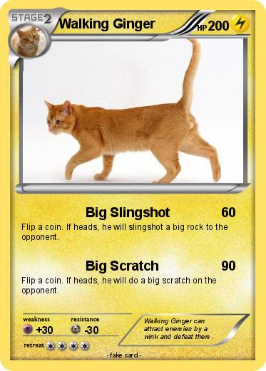 Pokémon Walking Ginger - Big Slingshot - My Pokemon Card