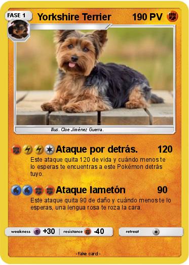 Pokémon Yorkshire Terrier 20 20 - Ataque por detrás. - Mi carta pokémon