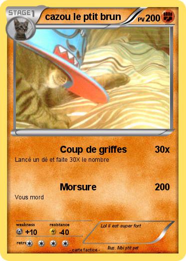 Pokémon cazou le ptit brun - Coup de griffes - Ma carte Pokémon