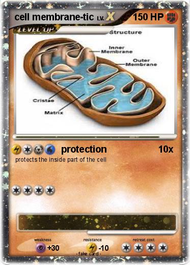 Pokémon cell membrane tic - protection - My Pokemon Card