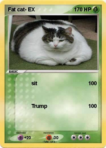Pokémon Fat cat EX 5 5 - sit - My Pokemon Card