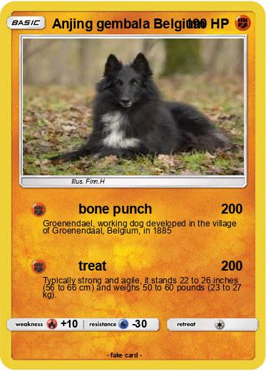 Pokémon Anjing gembala Belgium - bone punch - My Pokemon Card