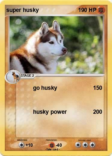 Pokémon super husky 5 5 - go husky - My Pokemon Card