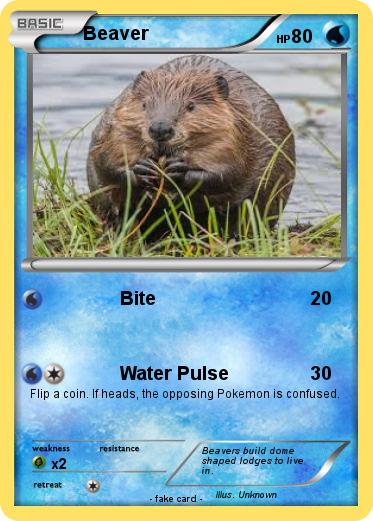Pokémon Beaver 99 99 - Bite - My Pokemon Card