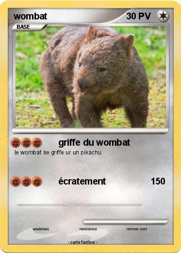 Pokémon wombat 21 21 - griffe du wombat - Ma carte Pokémon