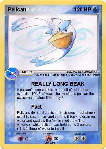 Pokémon Pelican 49 49 - REALLY LONG BEAK - My Pokemon Card