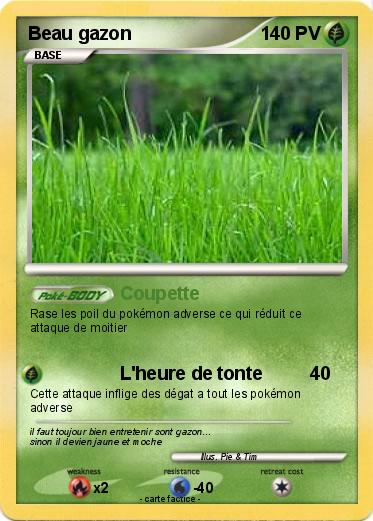Pokémon Beau gazon - Coupette - Ma carte Pokémon