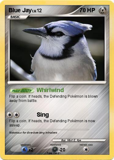 Pokémon Blue Jay 23 23 - Whirlwind - My Pokemon Card