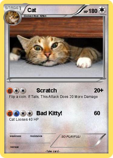 Pokémon Cat 2822 2822 - Scratch - My Pokemon Card