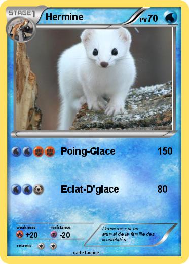 Pokémon Hermine 22 22 - Poing-Glace - Ma carte Pokémon