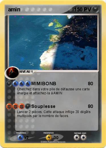 Pokémon amin - MIMIBONB - Ma carte Pokémon
