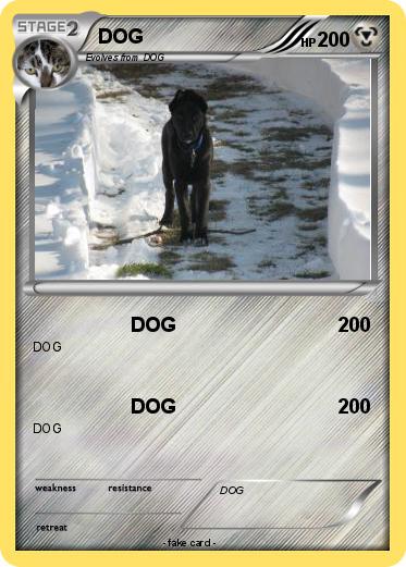 Pokémon DOG 1002 1002 - DOG - My Pokemon Card