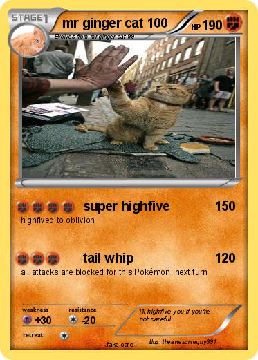 Pokémon mr ginger cat 100 100 - super highfive - My Pokemon Card