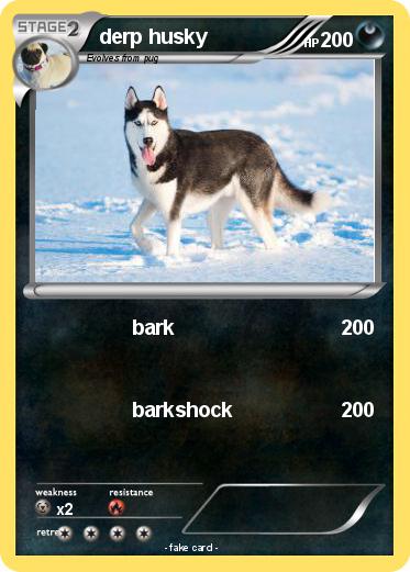 Pokémon derp husky - bark - My Pokemon Card