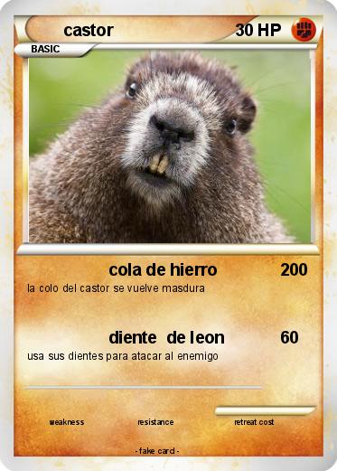 Pokémon castor 52 52 - cola de hierro - My Pokemon Card