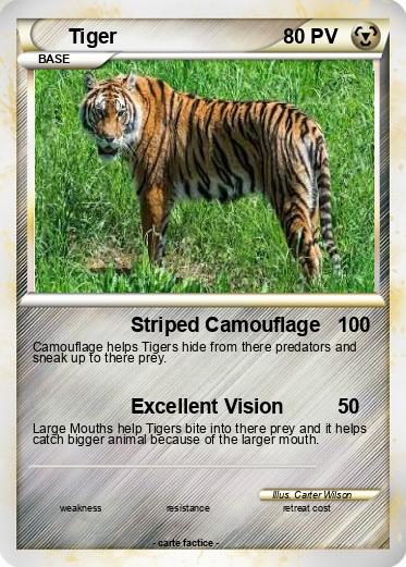 Pokémon Tiger 1348 1348 - Striped Camouflage - Ma carte Pokémon