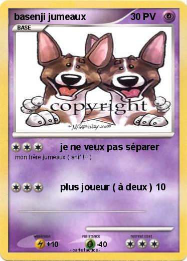 Pokémon basenji jumeaux - je ne veux pas séparer - Ma carte Pokémon