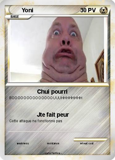 Pokémon Yoni 16 16 - Chui pourri - Ma carte Pokémon