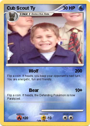 Pokémon Cub Scout Ty - Wolf - My Pokemon Card