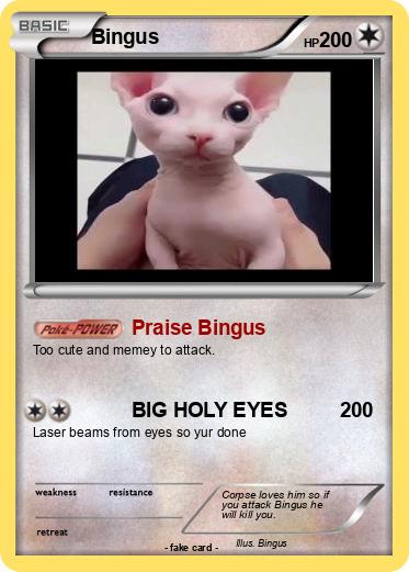Pokémon Bingus 66 66 - Praise Bingus - My Pokemon Card
