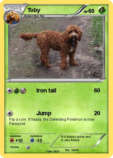 Pokémon Toby 327 327 - Iron tail - My Pokemon Card