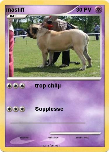 Pokémon mastiff 476 476 - trop ch0µ - Ma carte Pokémon