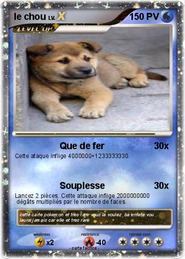 Pokémon le chou - Que de fer - Ma carte Pokémon