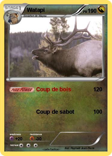 Pokémon Watapi - Coup de bois - Ma carte Pokémon