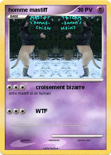 Pokémon homme mastiff - croisement bizarre - Ma carte Pokémon