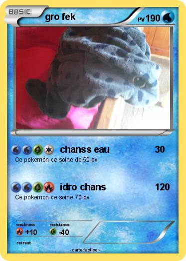 Pokémon gro fek 1 1 - chanss eau - Ma carte Pokémon