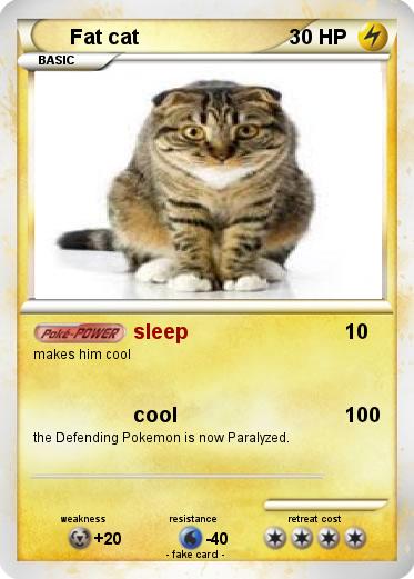 Pokémon Fat cat 342 342 - sleep - My Pokemon Card