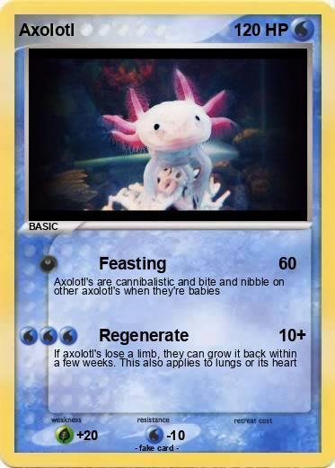 Pokémon Axolotl 434 434 - Feasting - My Pokemon Card