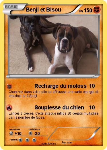 Pokémon Benji et Bisou - Recharge du moloss - Ma carte Pokémon