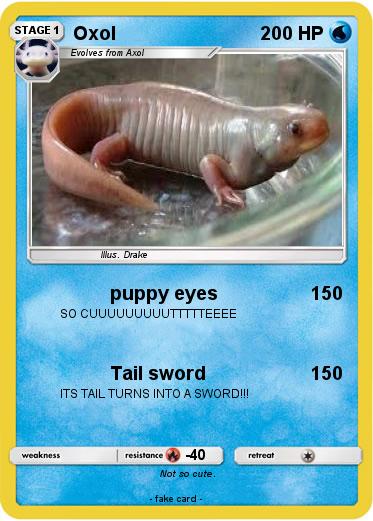 Pokémon Oxol - puppy eyes - My Pokemon Card