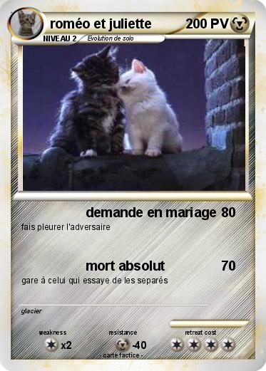 Pokémon romeo et juliette - demande en mariage - Ma carte Pokémon