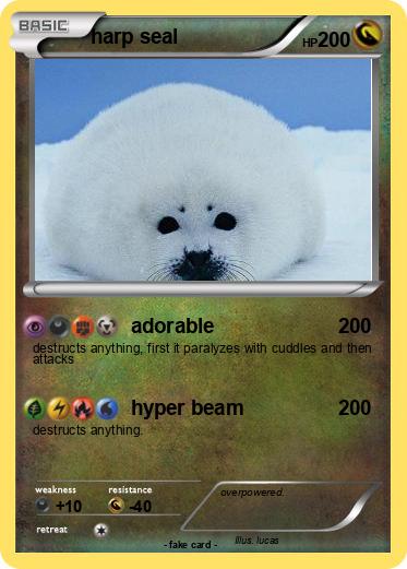 Pokémon harp seal 41 41 - adorable - My Pokemon Card