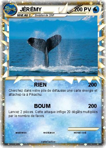 Pokémon JEREMY 360 360 - RIEN - Ma carte Pokémon