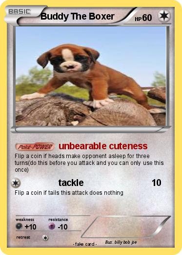 Pokémon Buddy The Boxer - unbearable cuteness - My Pokemon Card