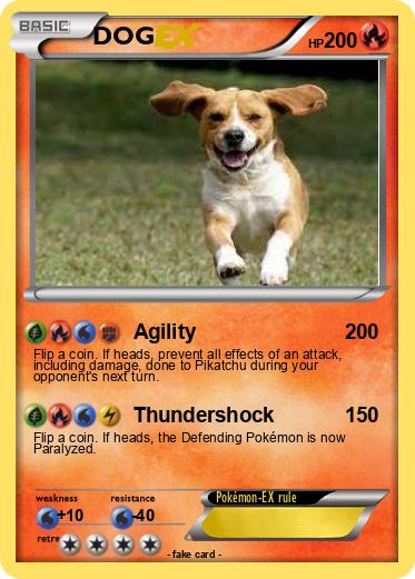 Pokémon DOG 1921 1921 - Agility - My Pokemon Card