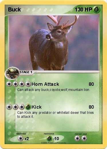 Pokémon Buck - Horn Attack - My Pokemon Card